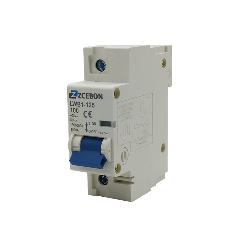 LWB1-125 MCB Circuit Breaker